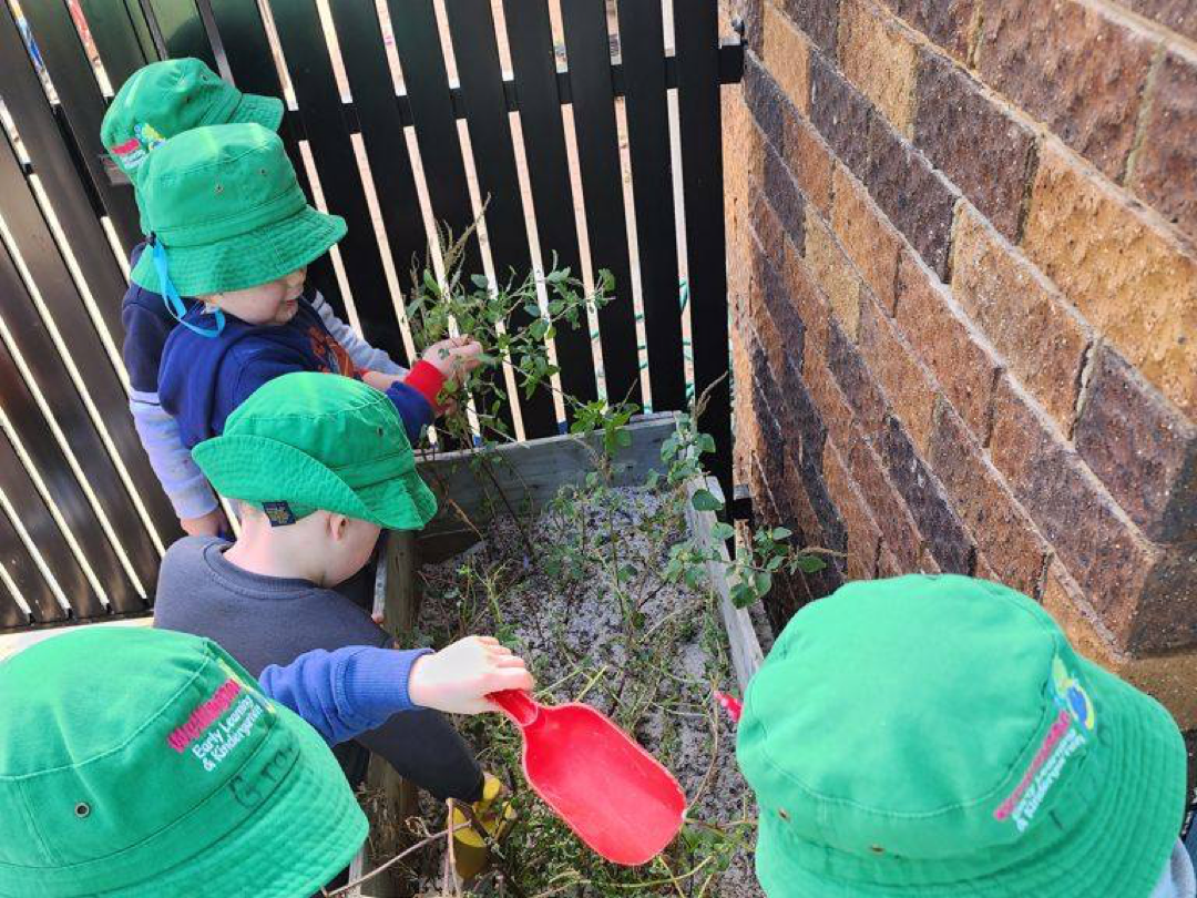 Wello Kids - Marlborough Rd Centre - Wellokids